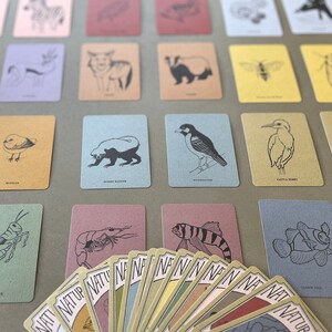 Symbiotic Relationship Matching Game, Natural Order Memory Game, Card ...