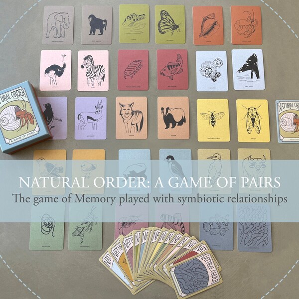 Memory Game Cards - Etsy