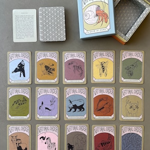 Symbiotic Relationship Matching Game, Natural Order Memory Game, Card ...