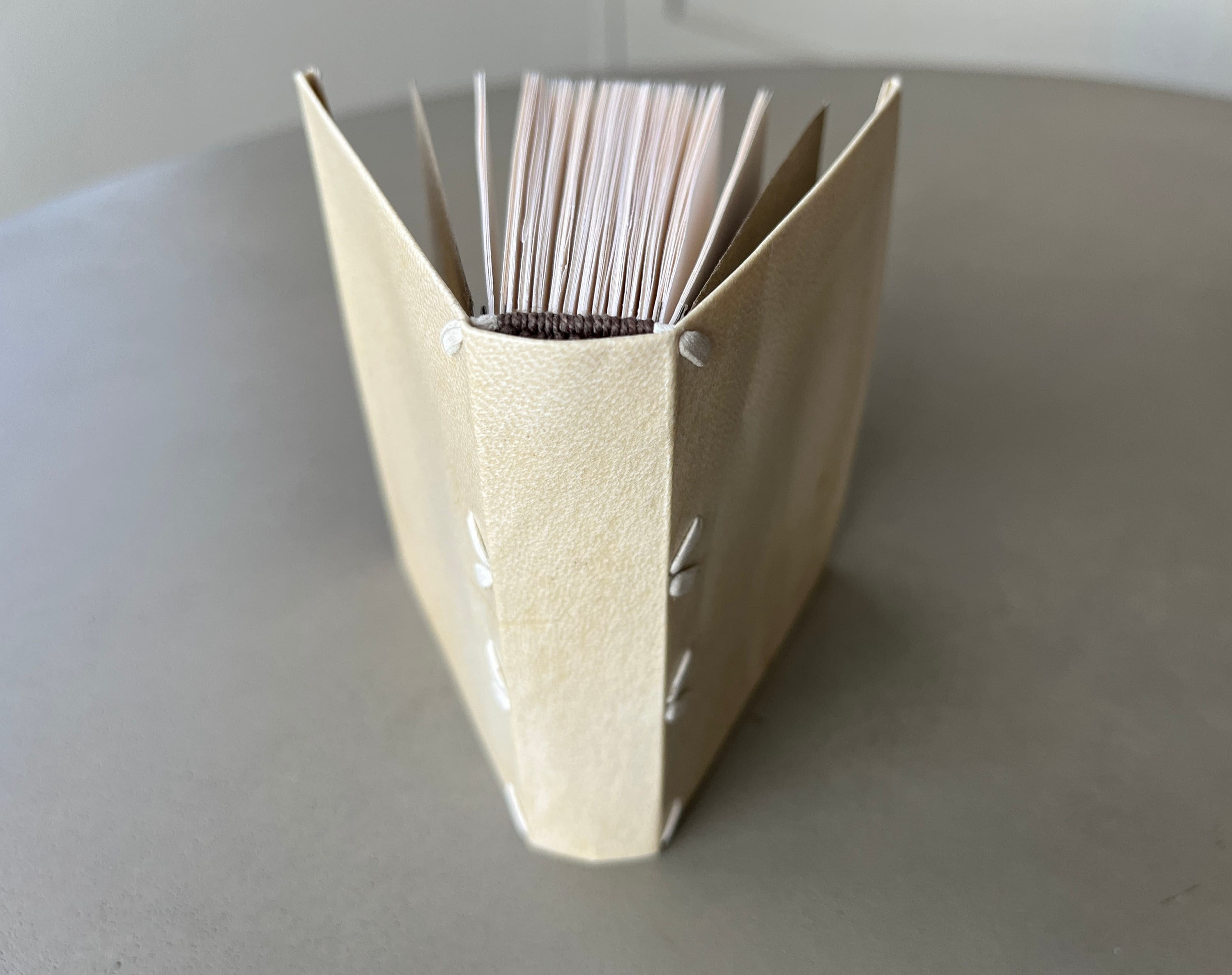 Mini Goat Skin Parchment Binding, Pocket Journal With Limp Vellum Cover ...