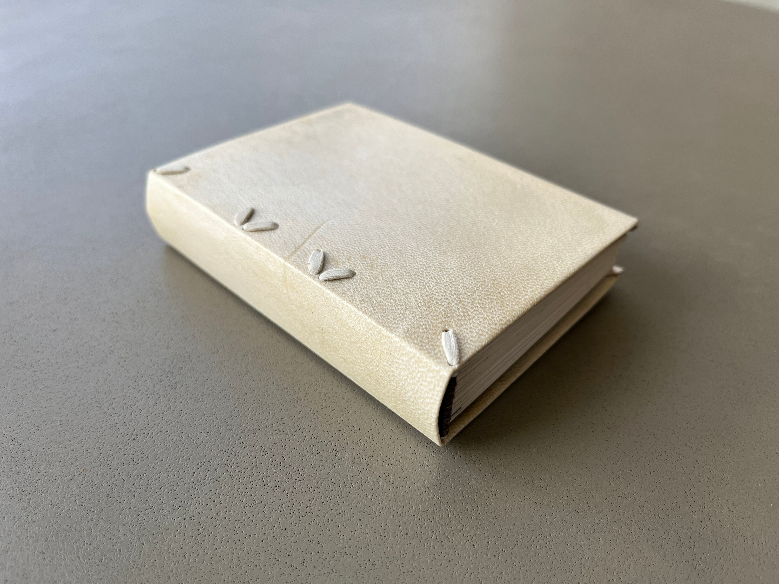 Mini Goat Skin Parchment Binding, Pocket Journal With Limp Vellum Cover ...