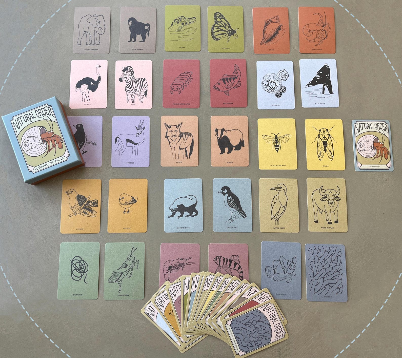 Symbiotic Relationship Matching Game, Ecology Learning Card Game for ...
