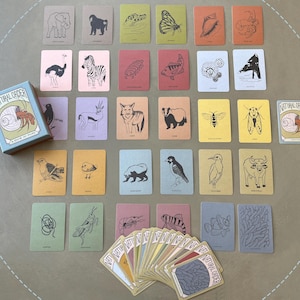 Symbiotic Relationship Matching Game, Natural Order Memory Game, Card ...