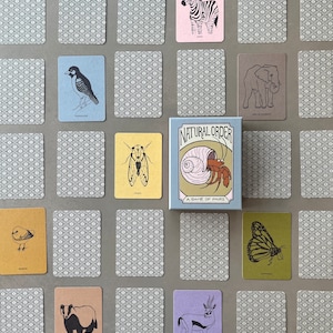 Symbiotic Relationship Matching Game, Natural Order Memory Game, Card ...
