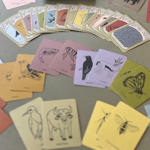 Symbiotic Relationship Matching Game, Natural Order Memory Game, Card ...