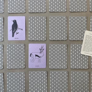 Symbiotic Relationship Matching Game, Ecology Learning Card Game for ...