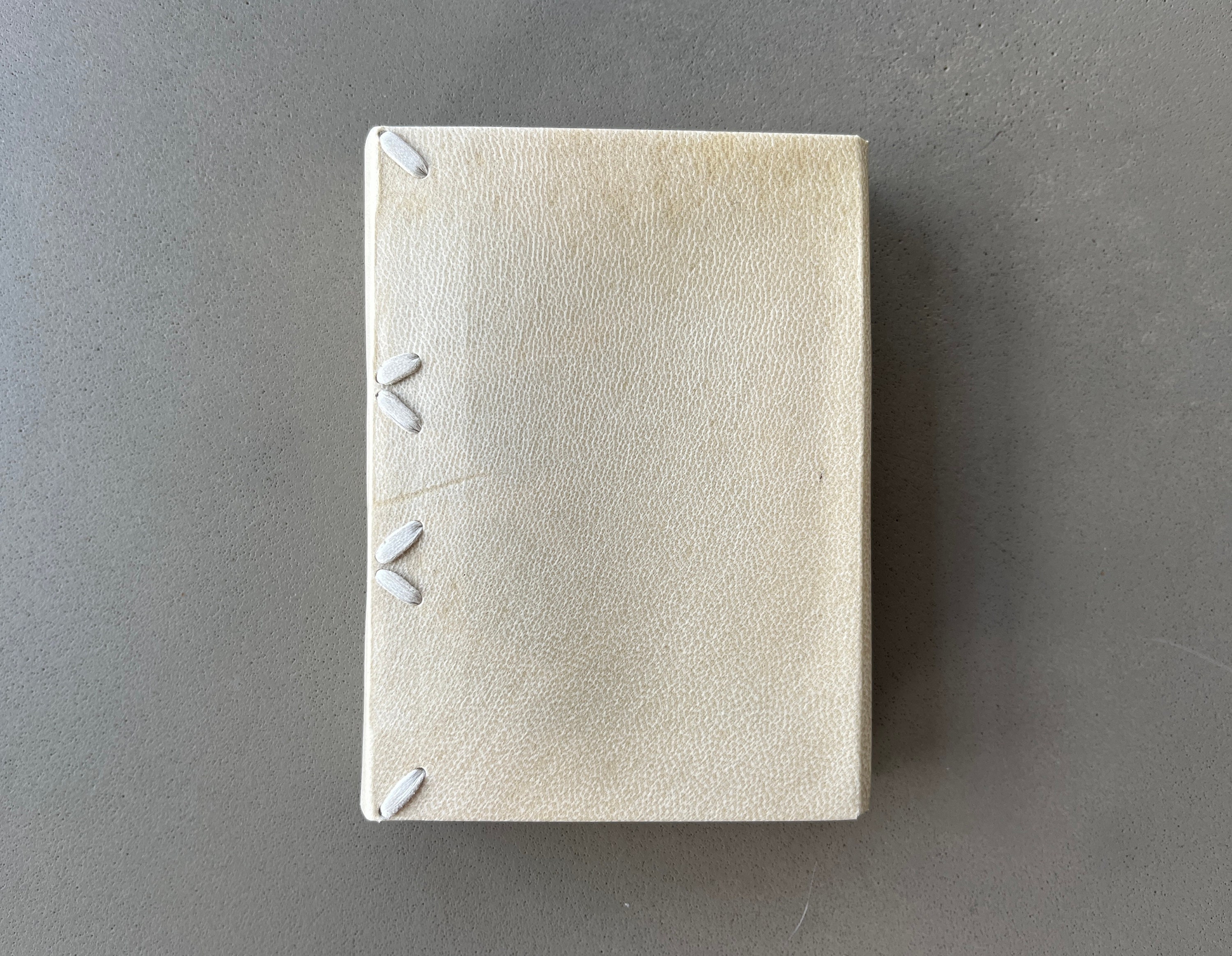 Mini Goat Skin Parchment Binding, Pocket Journal With Limp Vellum Cover ...