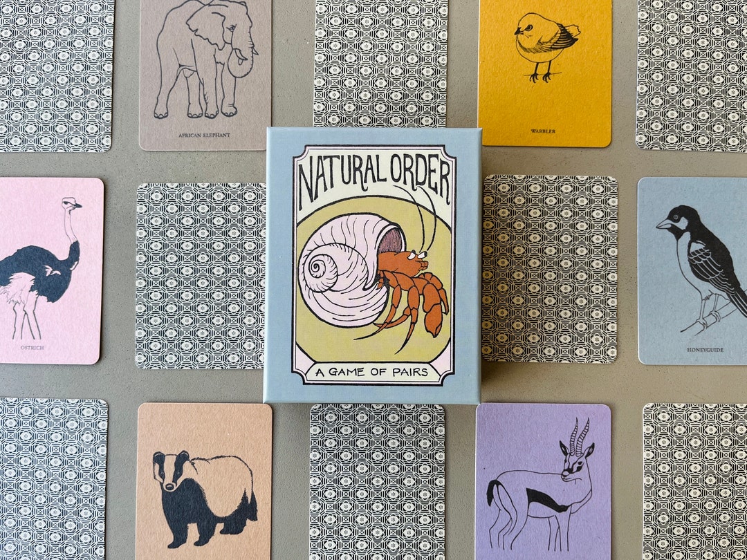 Symbiotic Relationship Matching Game, Natural Order Memory Game, Card ...