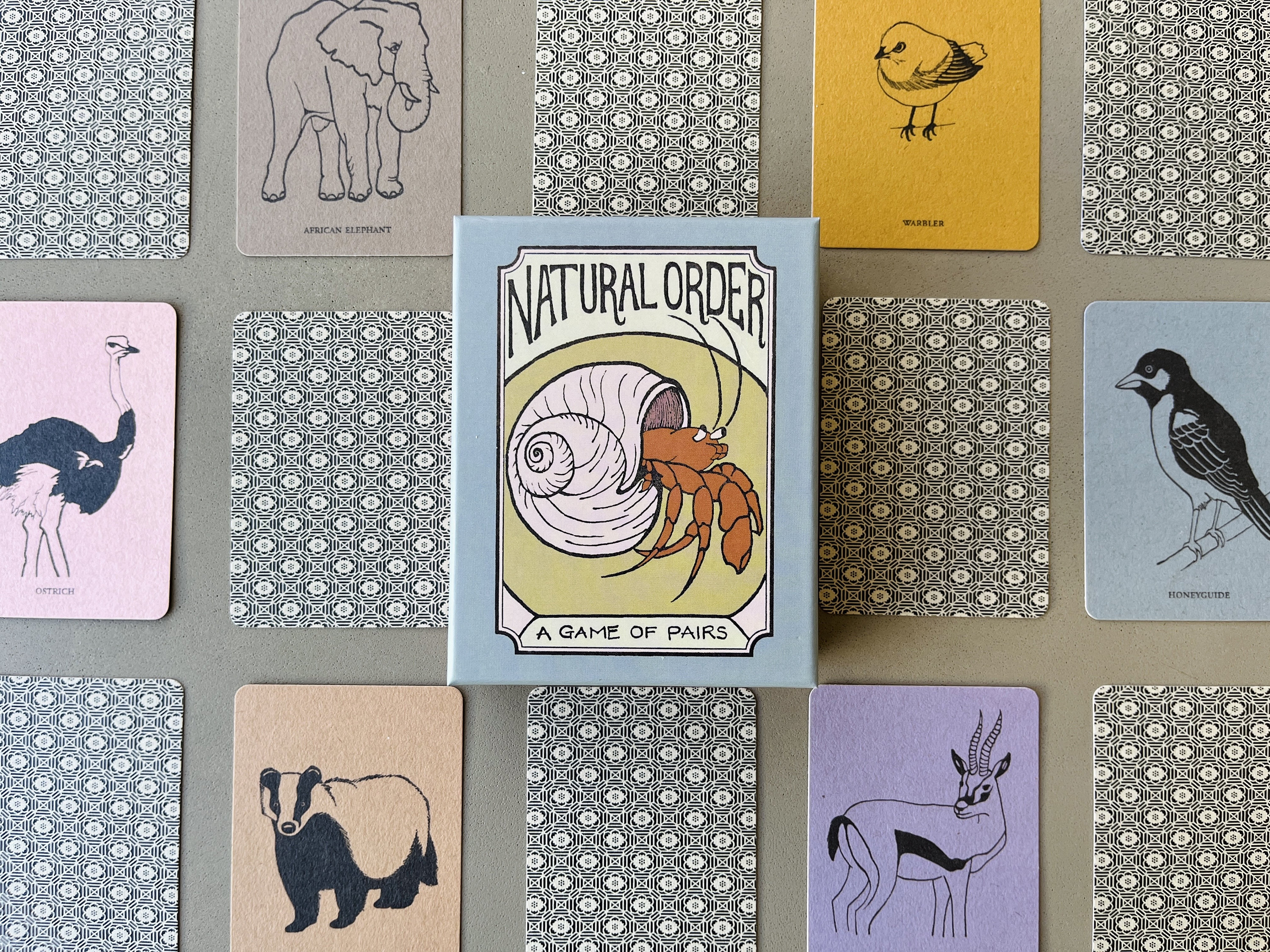 Symbiotic Relationship Matching Game, Ecology Learning Card Game for ...