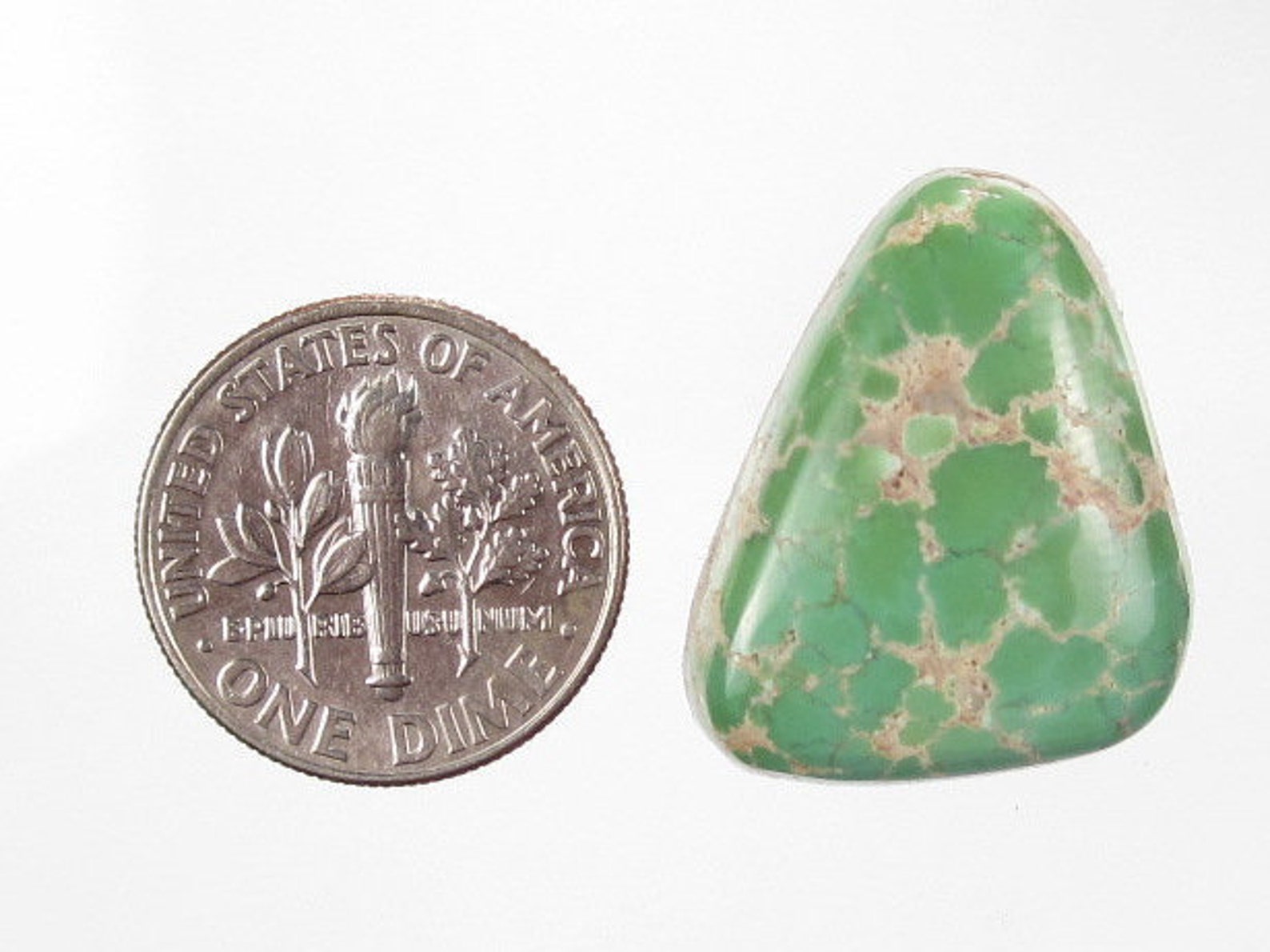 Natural American Turquoise Faustite Cabochon Stone Grasshopper | Etsy