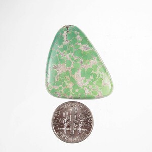 Natural Grasshopper American Faustite turquoise Untreated Cabochon ...