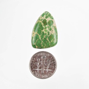 Natural Grasshopper American Turquoise Faustite Untreated Cabochon ...