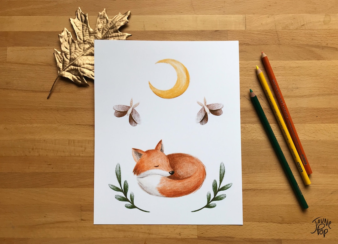 Fox Sleeping Under a Crescent Moon, Drawing by Jaune Pop in Montreal ...