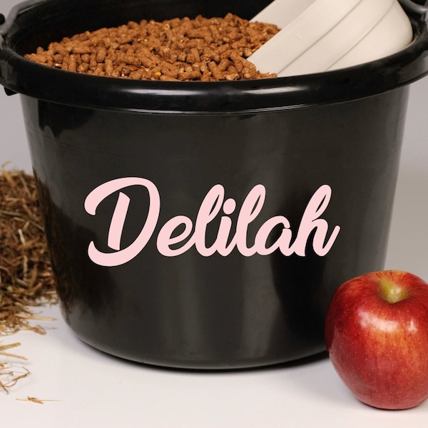 Horse Name Plate - Etsy