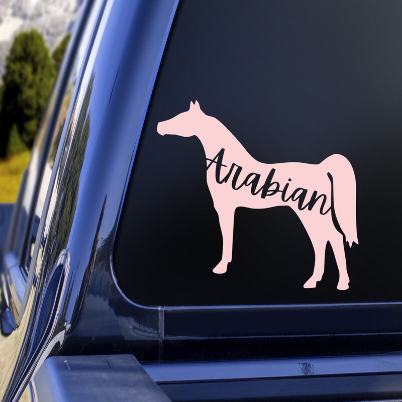 Grey Arabian - Etsy