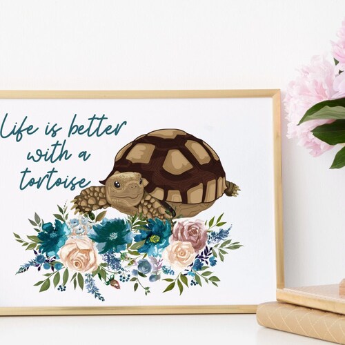 Sulcata Tortoise Cute Turtle Reptile Sticker Gift - Etsy