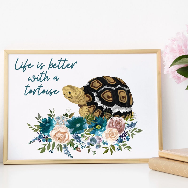 Tortoise Art - Etsy