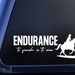 Trailer Endurance Horse Decal Sticker for Car Window, Endurance Riding ...