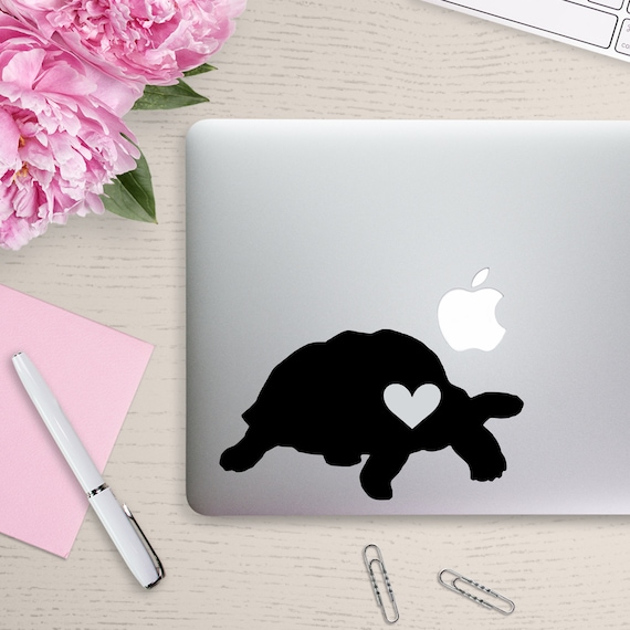 Tortoise Gift Tortoise Decal Sulcata Tortoise Gift Decal - Etsy