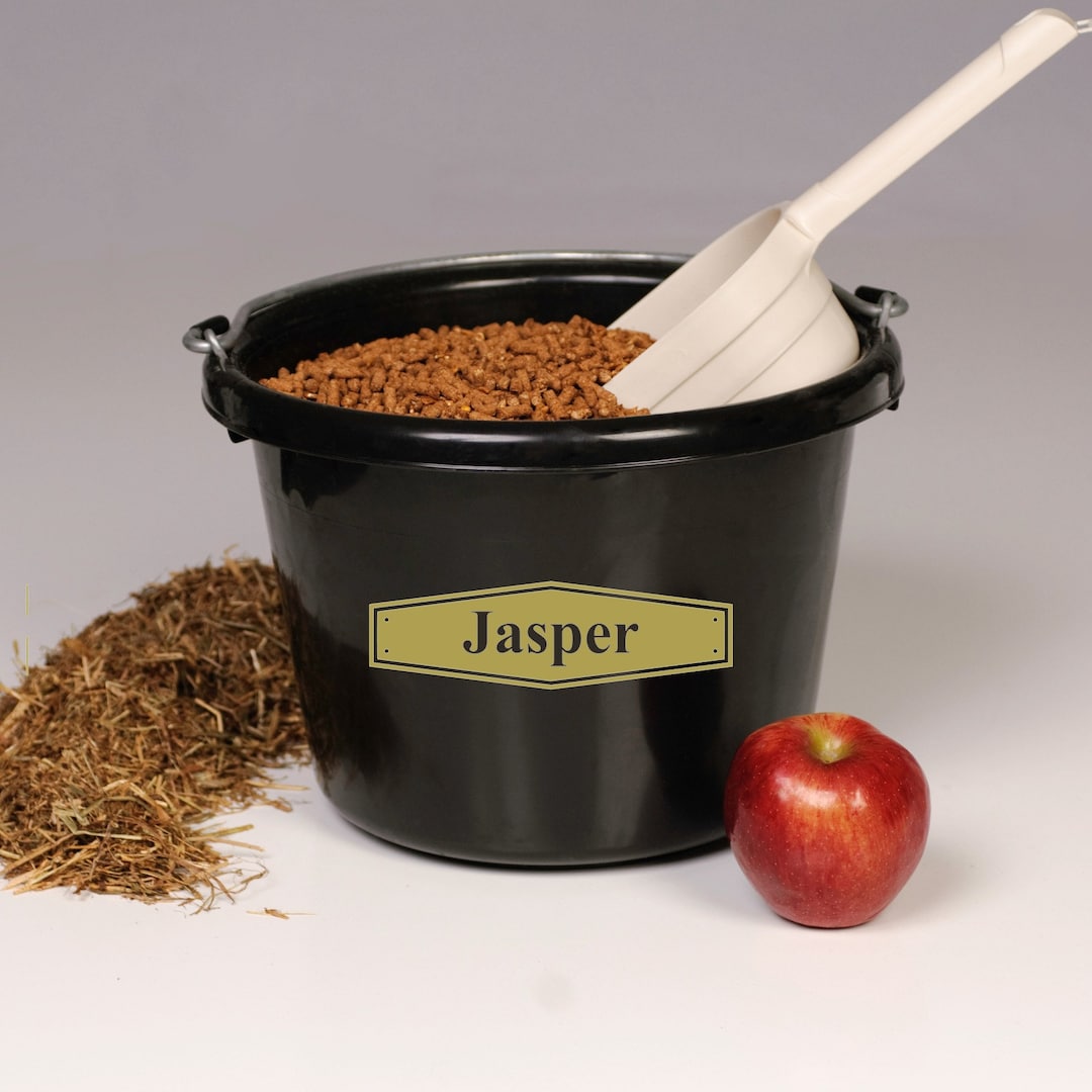 Horse Feed Bucket Decal: Personalized Name Sticker - Etsy