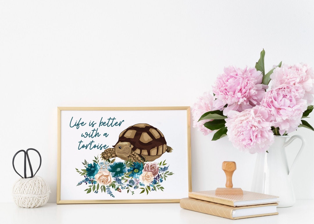 Sulcata Tortoise Art Print, Sulcata Tortoise Gift, Reptile Gift, Home ...