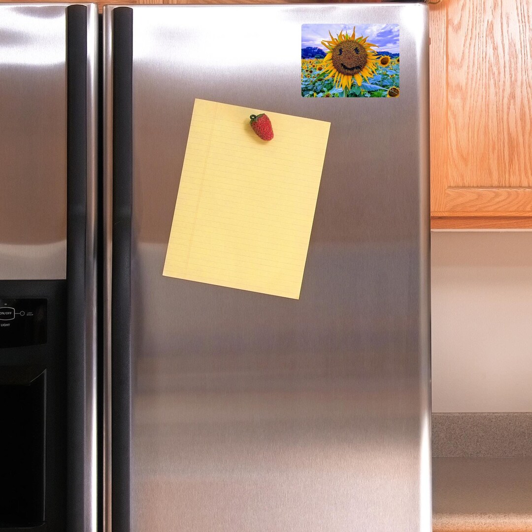 Sunflower Photography Refrigerator Magnet: Dorthea Dix Park Decor (3x4 ...
