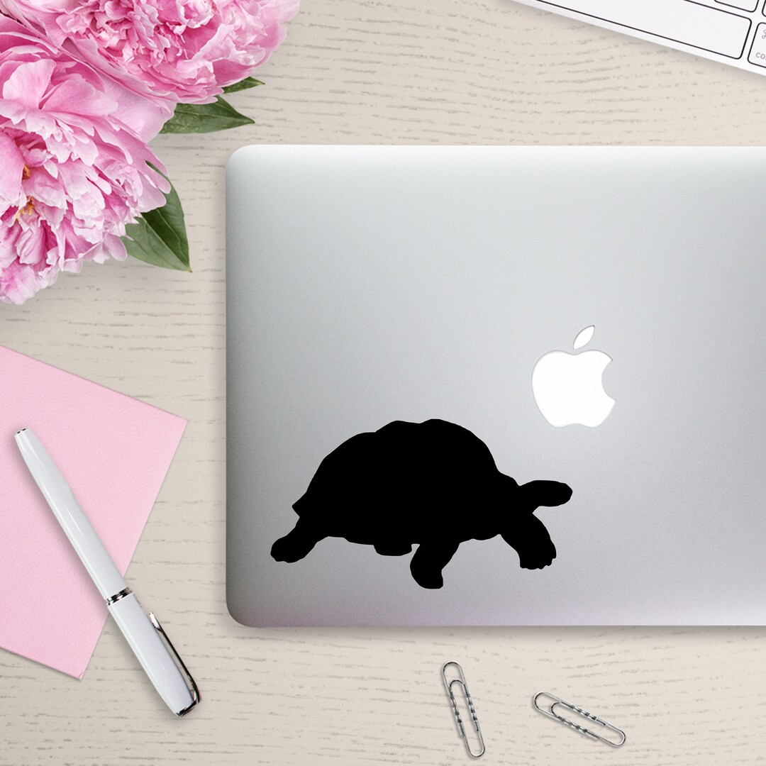 Tortoise Gift, Tortoise Decal, Sulcata Tortoise Gift, Decal for Cars ...