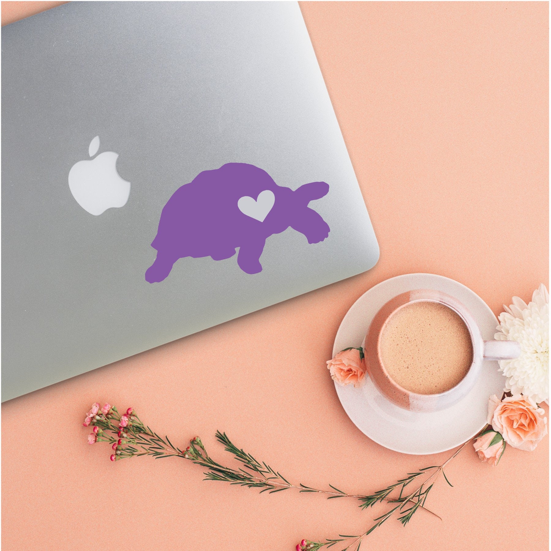 Tortoise Gift Tortoise Decal Sulcata Tortoise Gift Decal | Etsy