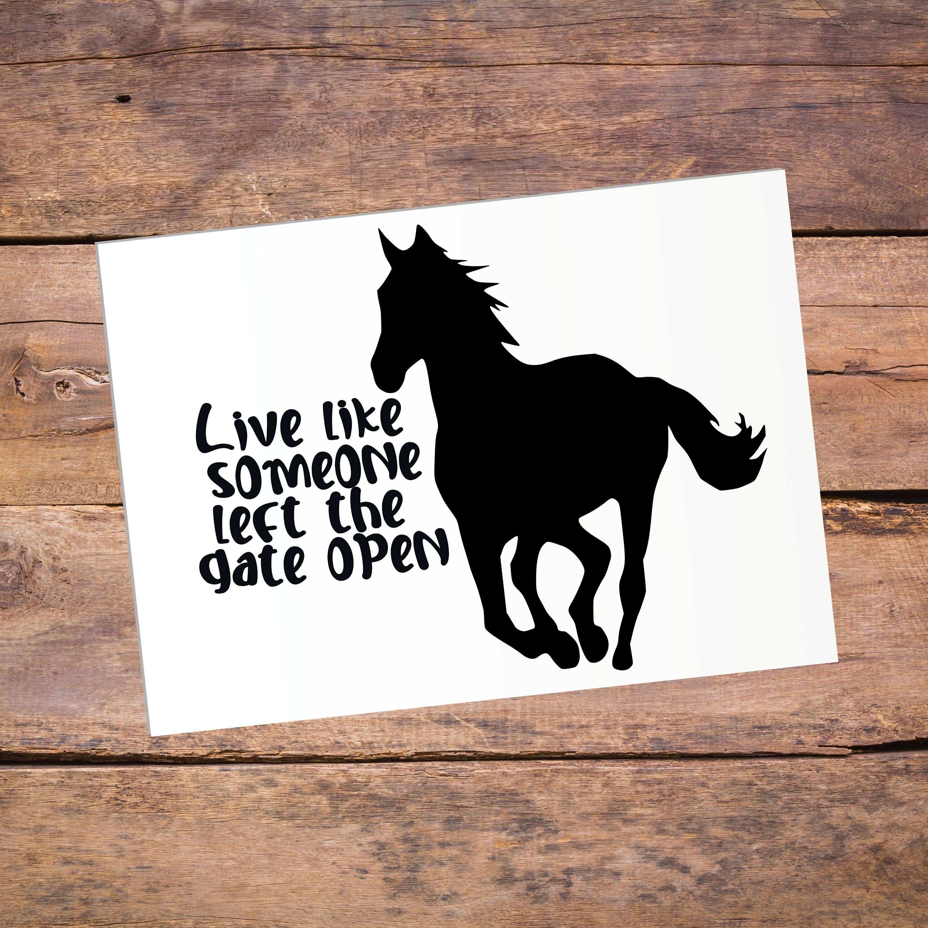 Horse Vinyl Decal for Trailer Horse Trailer Sticker Horse - Etsy