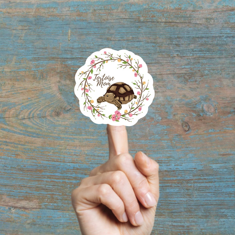 Tortoise Food - Etsy