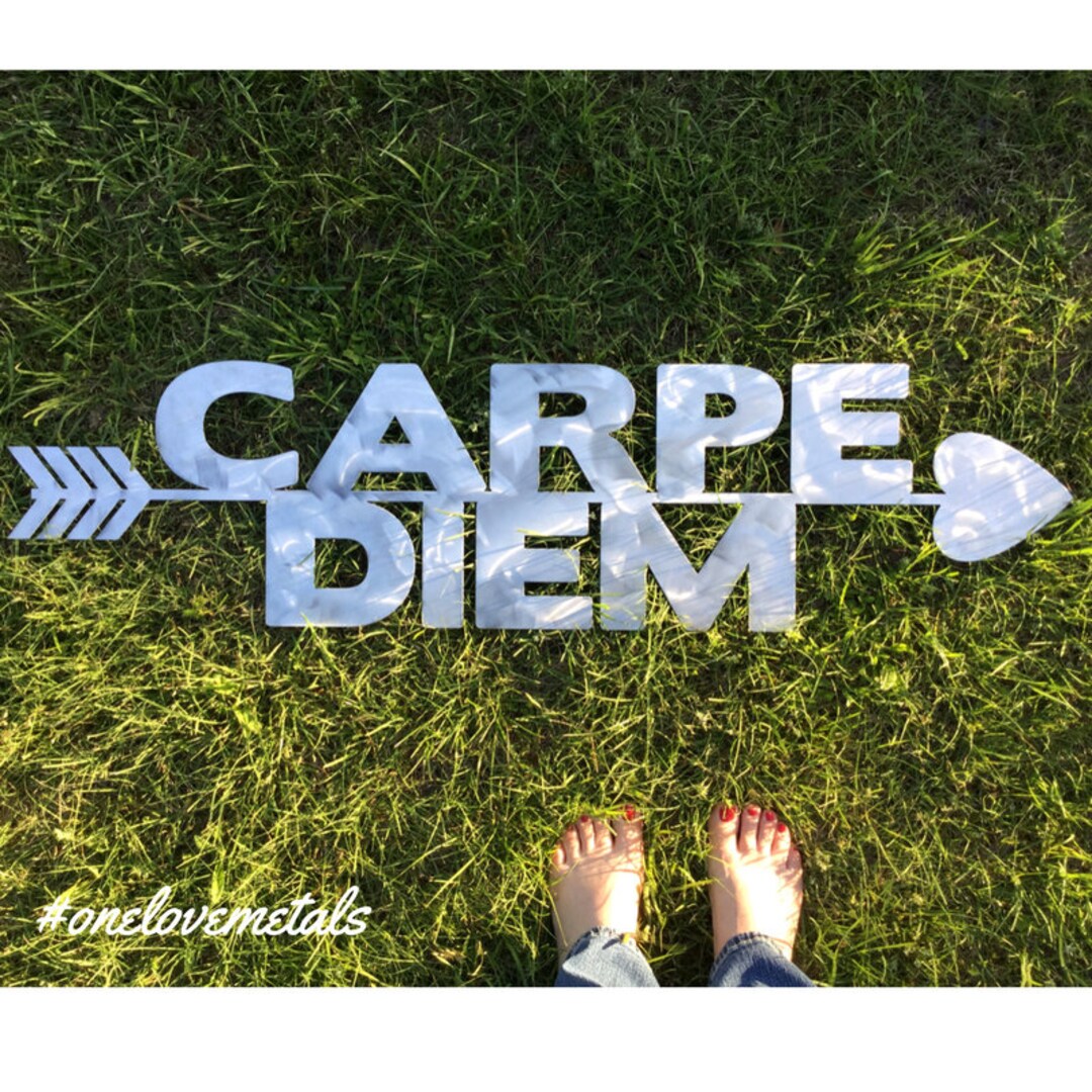 43" Carpe Diem Wall Art, Sign, Carpe Diem Sign, Carpe Diem Stickers ...