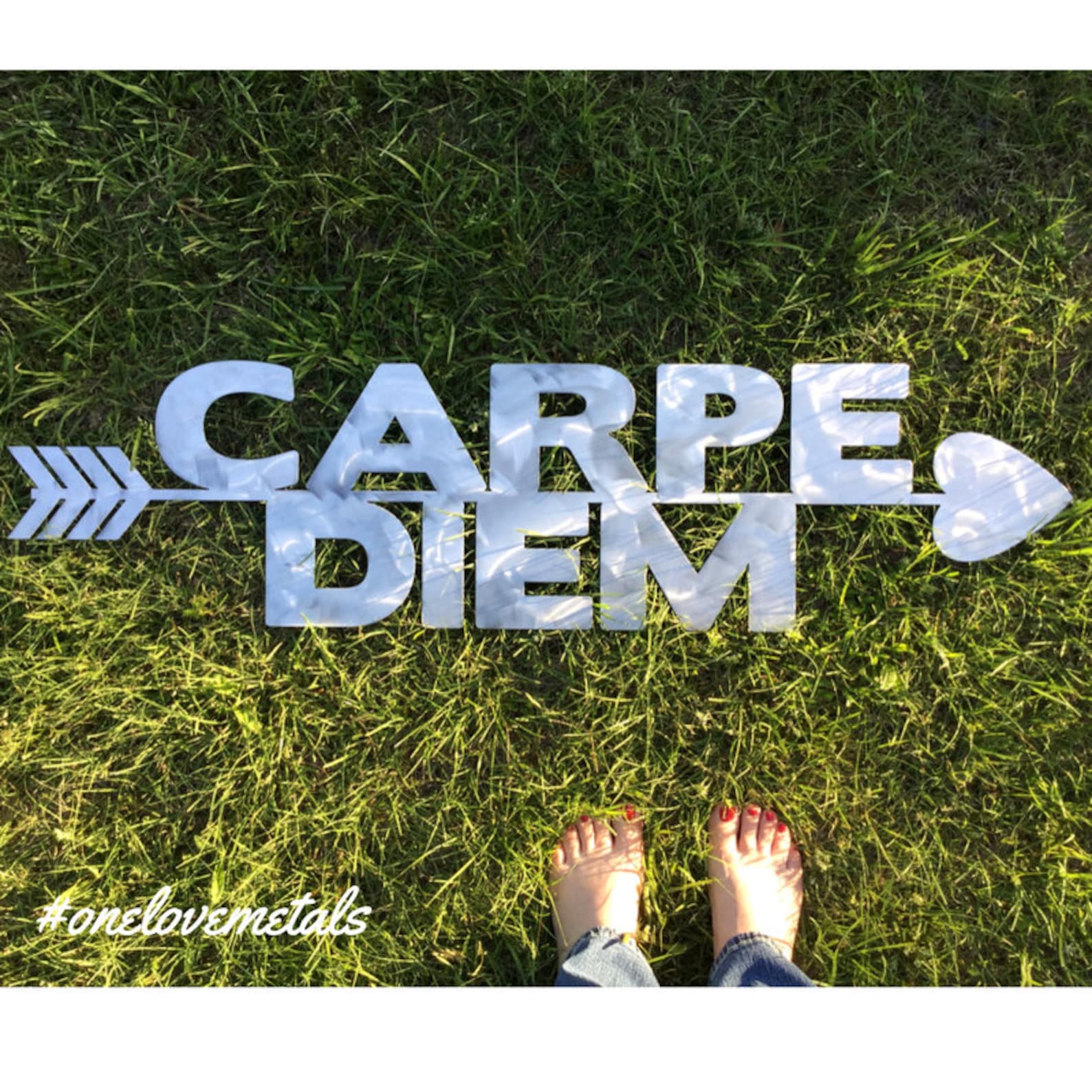 43 Carpe Diem Wall Art Sign Carpe Diem Sign Carpe - Etsy UK