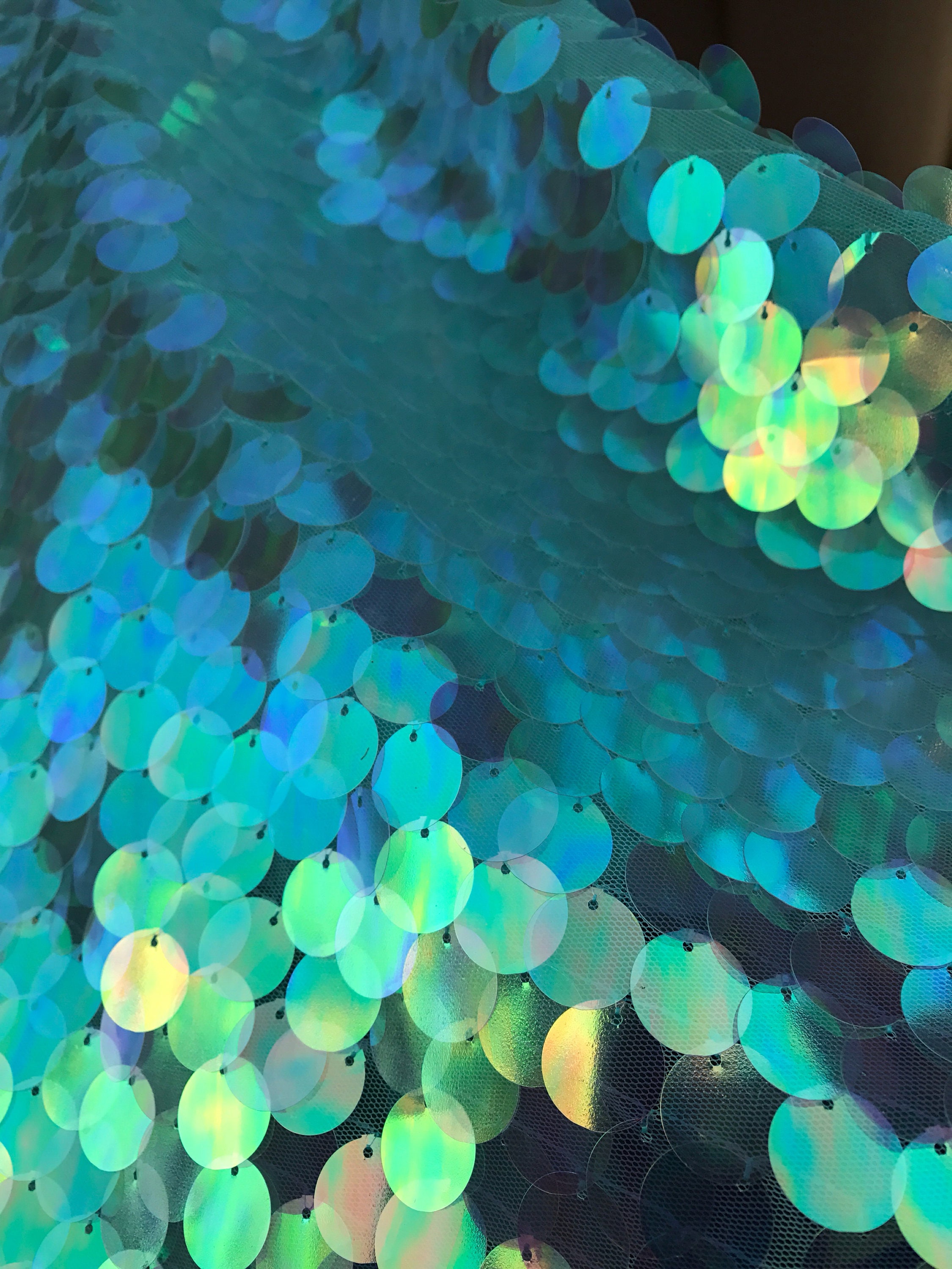 20mm Mint Green Iridescent Dangle Sequins on Mesh Fabric Sold by the ...