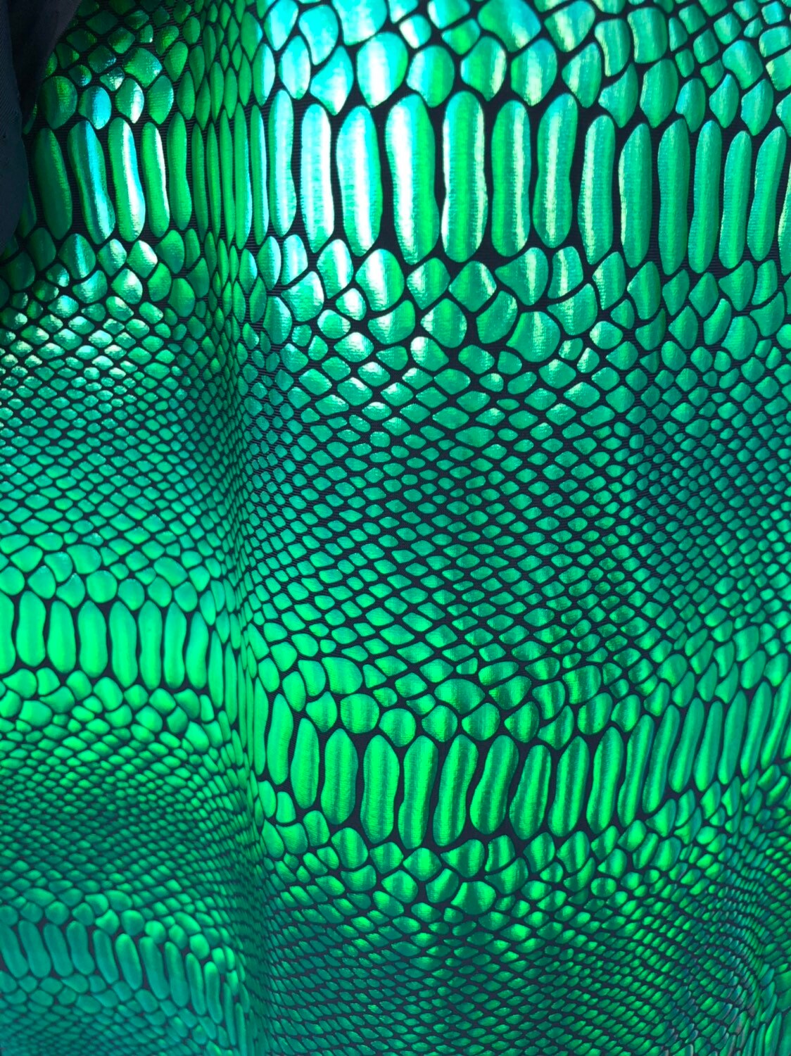 Multicolor Snake Print on Black Base Spandex Fabric sold by | Etsy