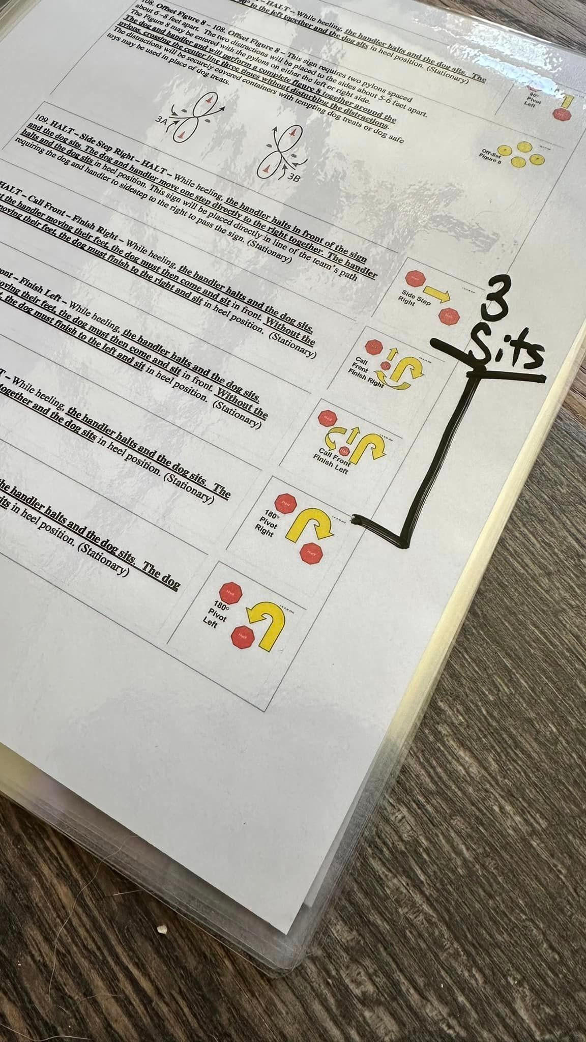 AKC Rally Sign Descriptions and Tips Guide - Etsy