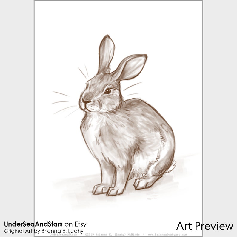 Rabbit Wall Art Brush Rabbit Printable Art Oregon Wildlife - Etsy