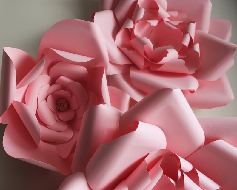 Giant Pink Paper Flower Backdropgiant Pink Paper Flower - Etsy
