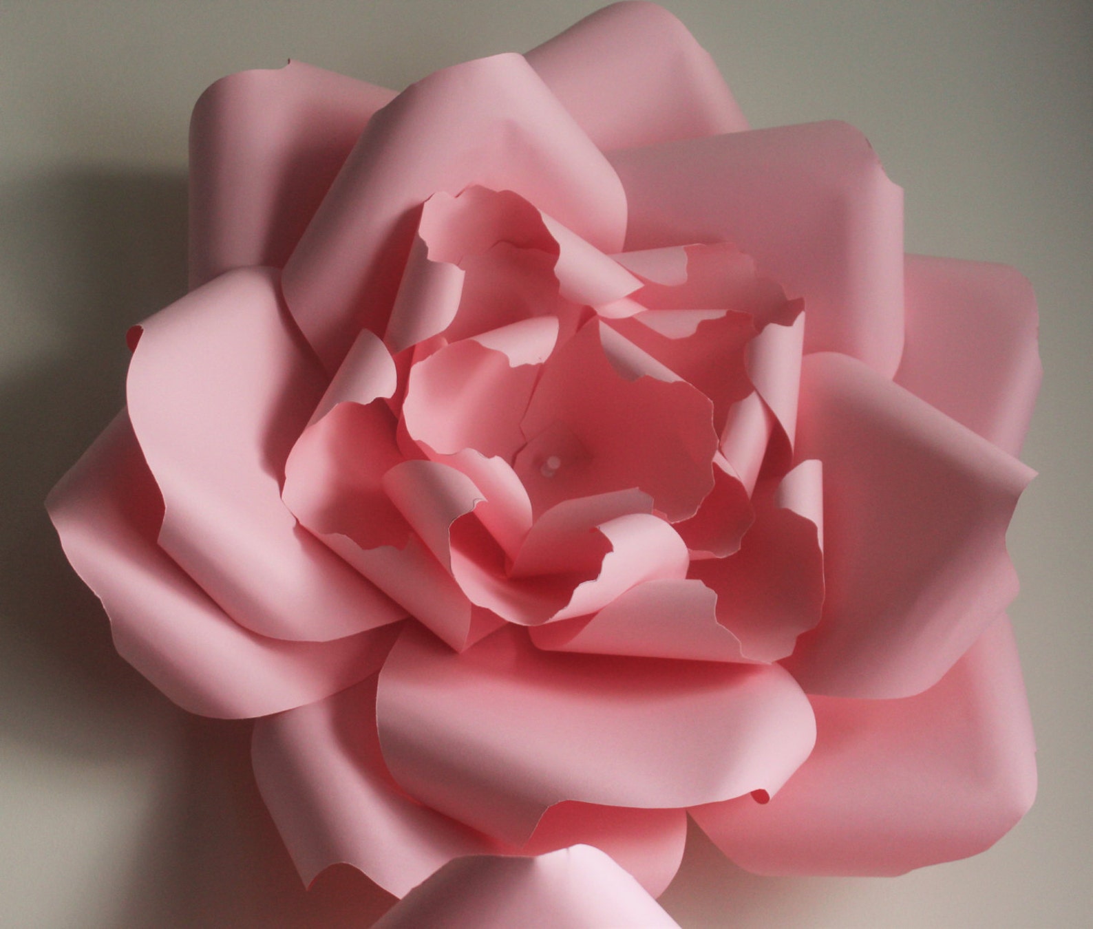 Giant Pink Paper Flower Backdropgiant Pink Paper Flower - Etsy