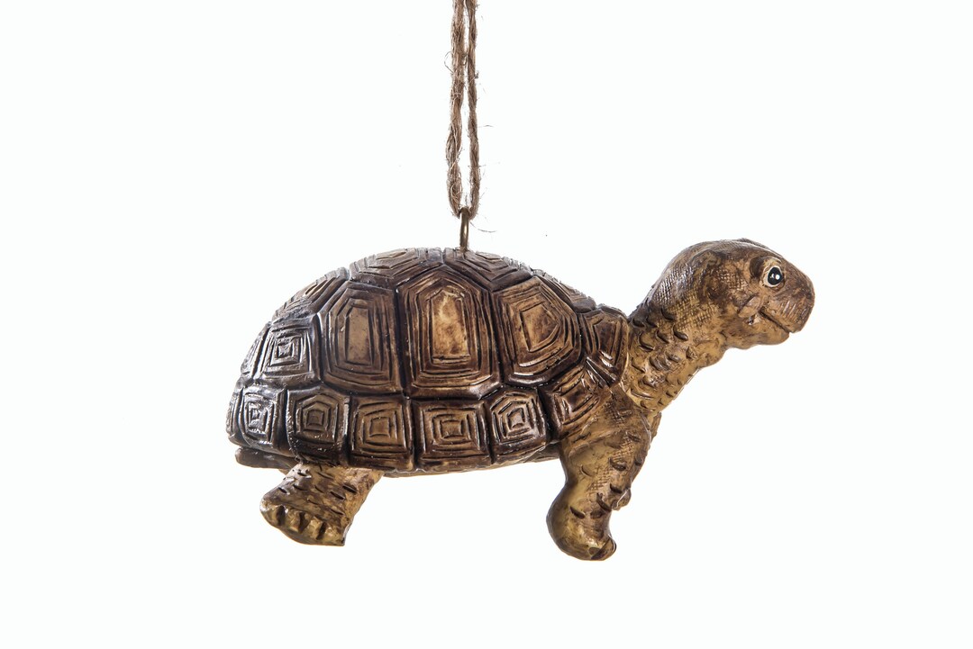 Tortoise Ornament Unique Collectible Gift Bac 166 - Etsy
