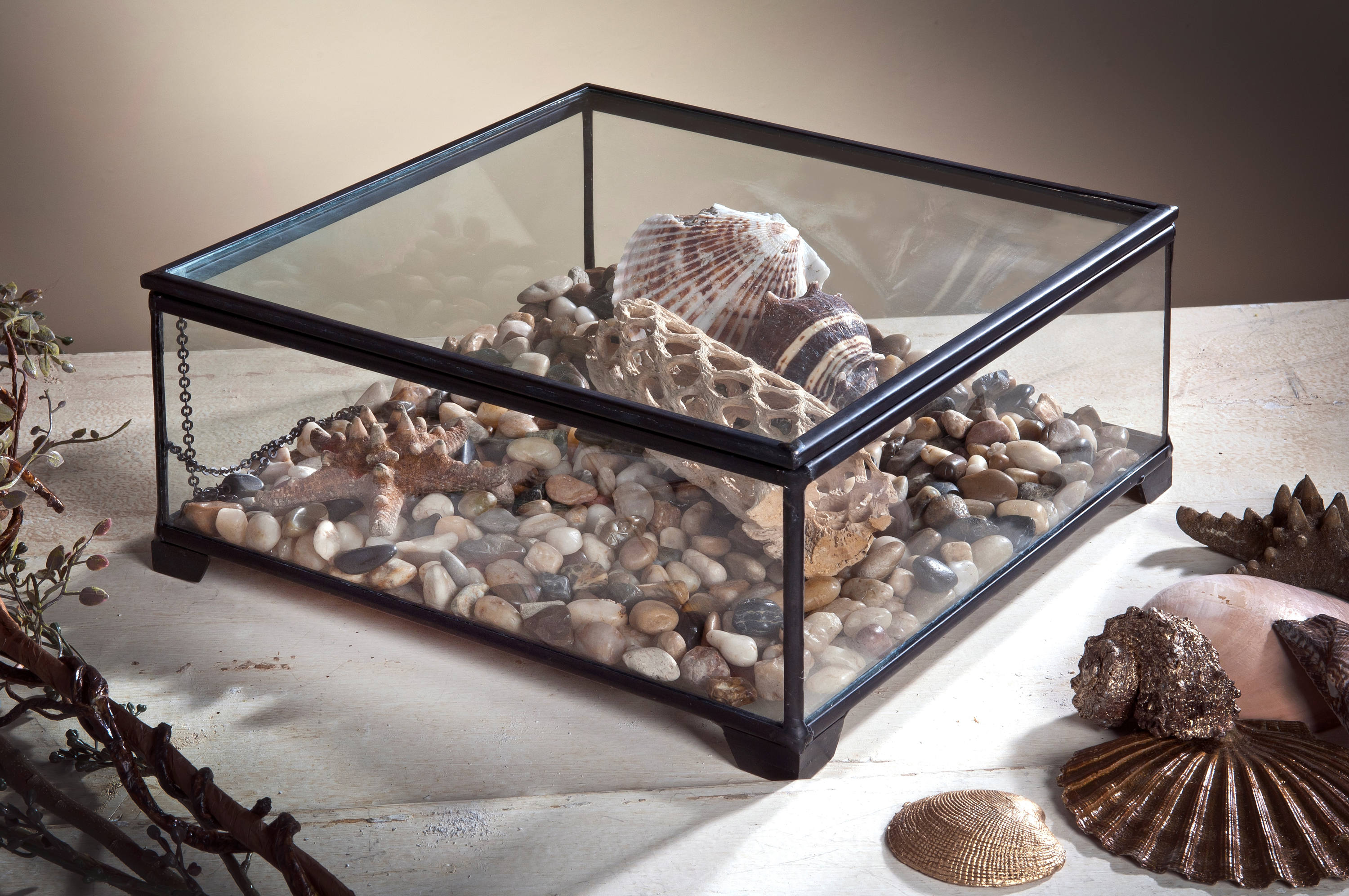 Display Box Clear Glass Case Decorative Keepsake Hinged Lid - Etsy