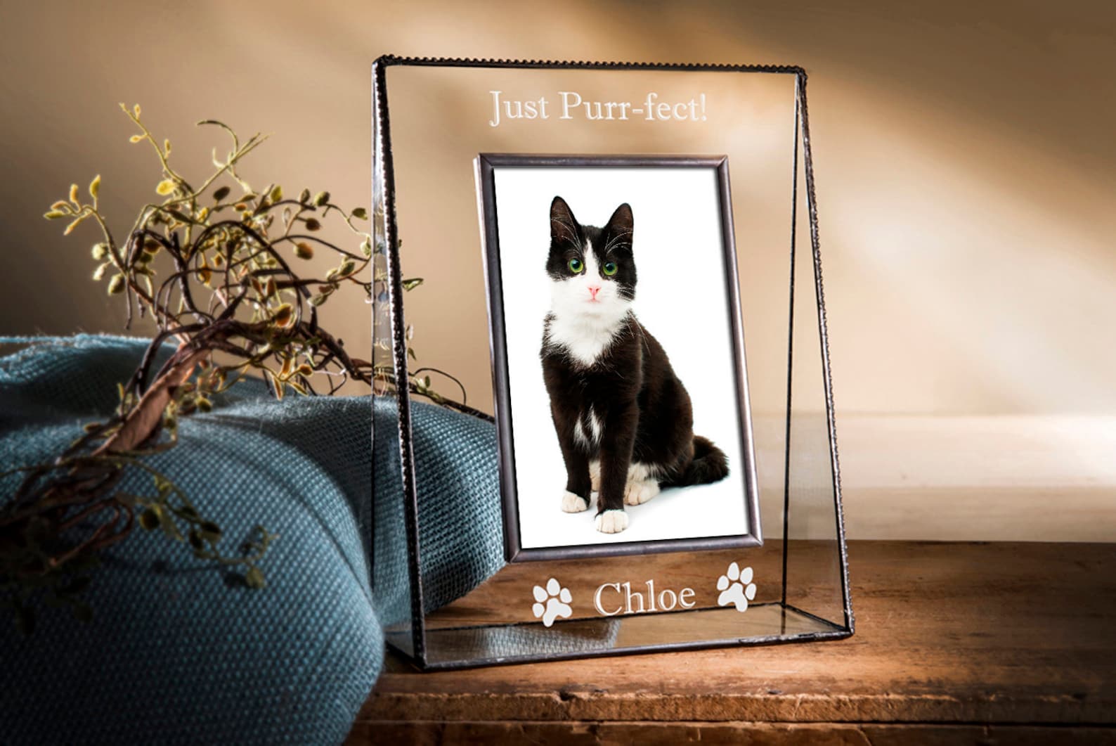 Cat Frame Personalized Pet Picture Frame Custom Laser Engraved - Etsy ...