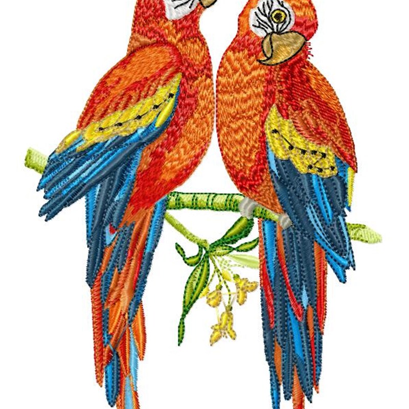 Parrot Embroidery - Etsy