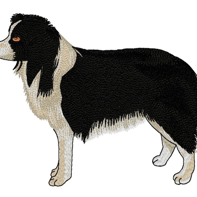 Border Collie Fabric - Etsy