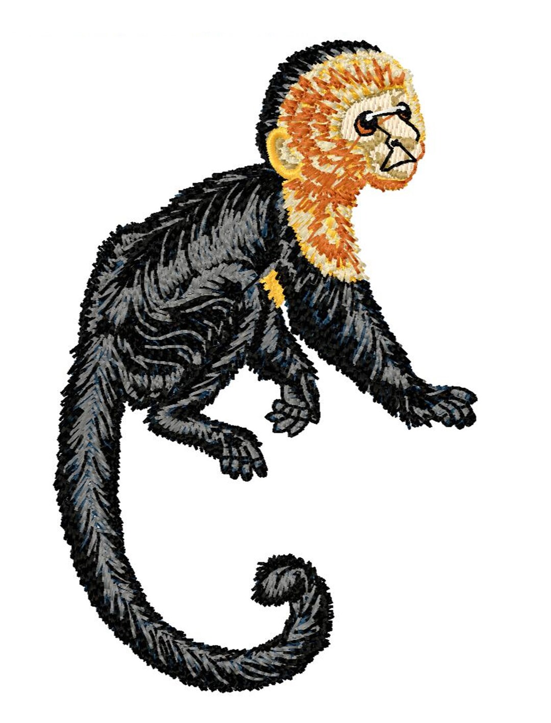 CAPUCHIN MONKEY - Single Machine Embroidery Design for 5x7" Hoop in 8 ...