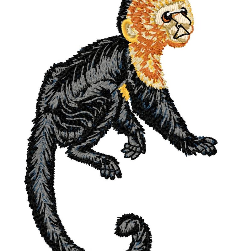 Monkey Embroidery Design - Etsy