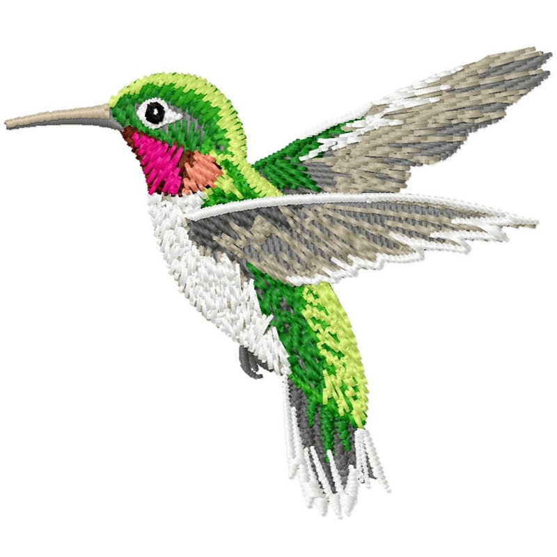 Hummingbird Embroidery Design - Etsy