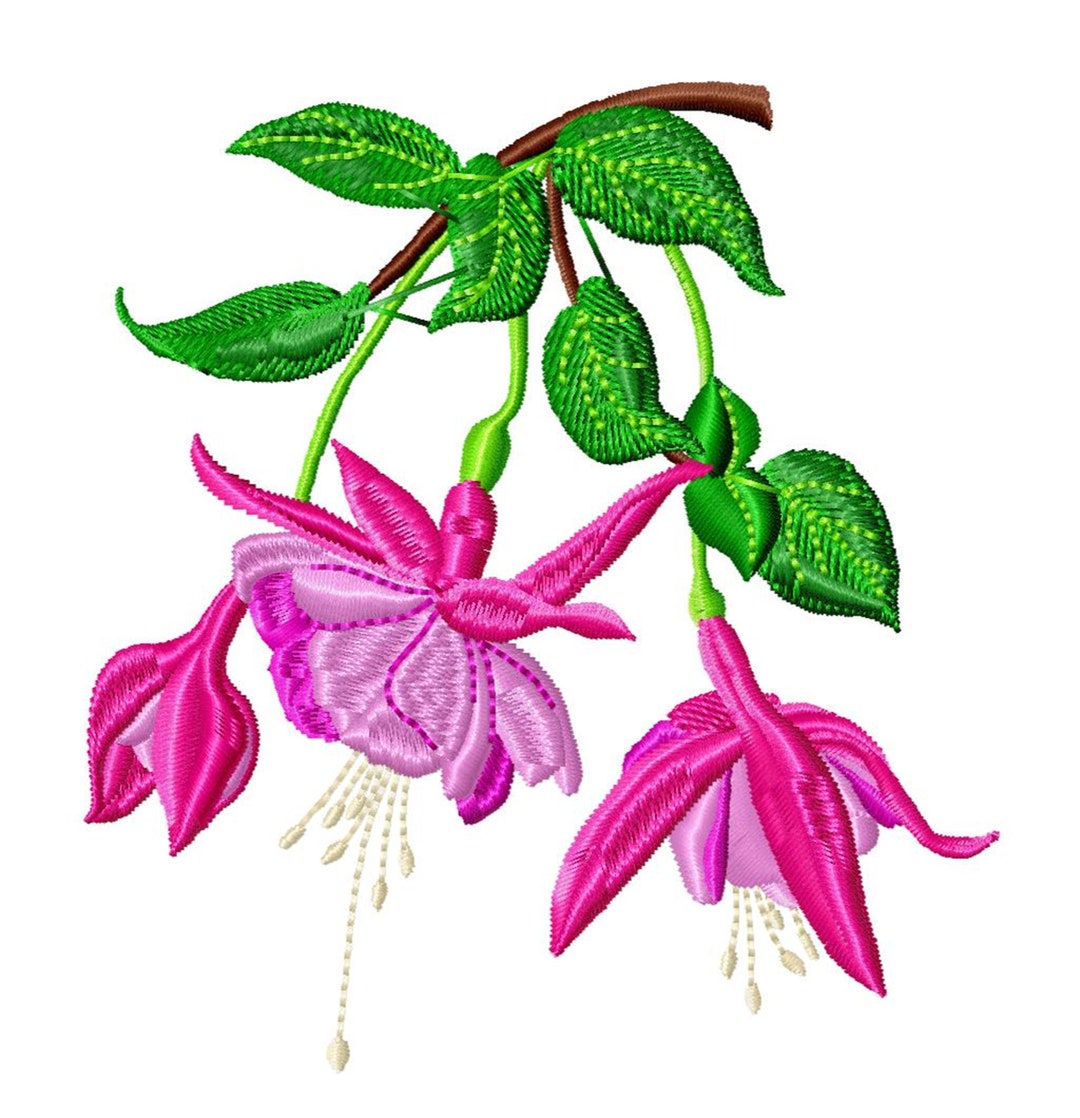 FUCHSIAS Single Machine Embroidery Design for 4x4 Hoop in 8 Formats ...