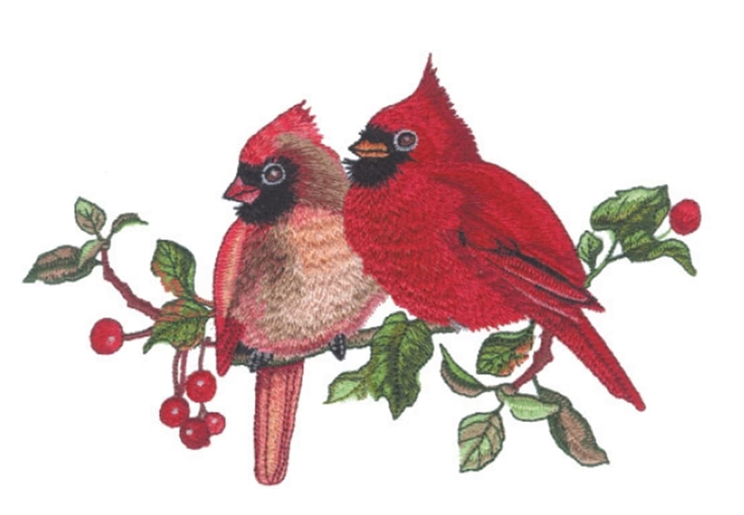 CARDINALS - Single Machine Embroidery Design for 5x7" Hoop in 7 Formats ...