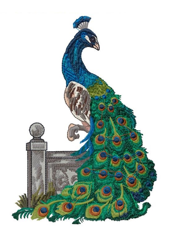 PEACOCK ON WALL Single Machine Embroidery Design for | Etsy