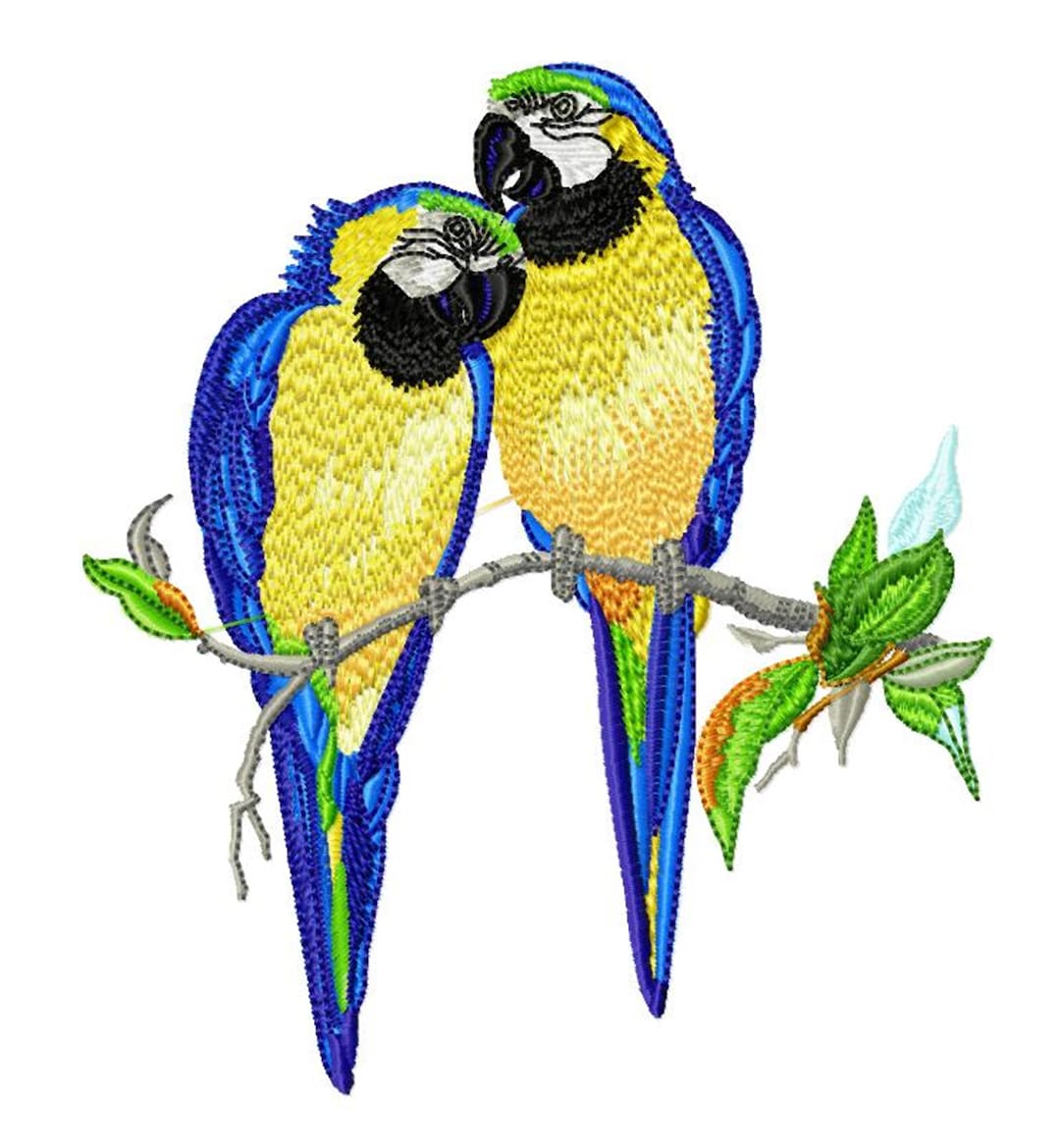 BLUE MACAWS - Single Machine Embroidery Design for 5x7" Hoop in 7 ...